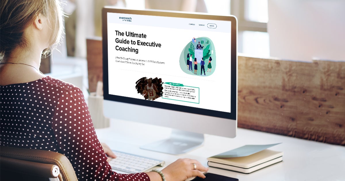 How To Coach Executives: The Ultimate Guide (Chapter 4)